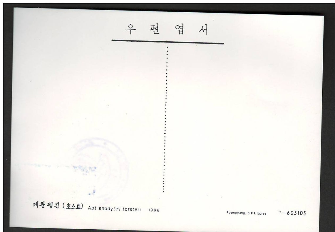 POSTCARD - K - 1996, MC, Maxi Card, Post Card, Penguins, Arctic ...