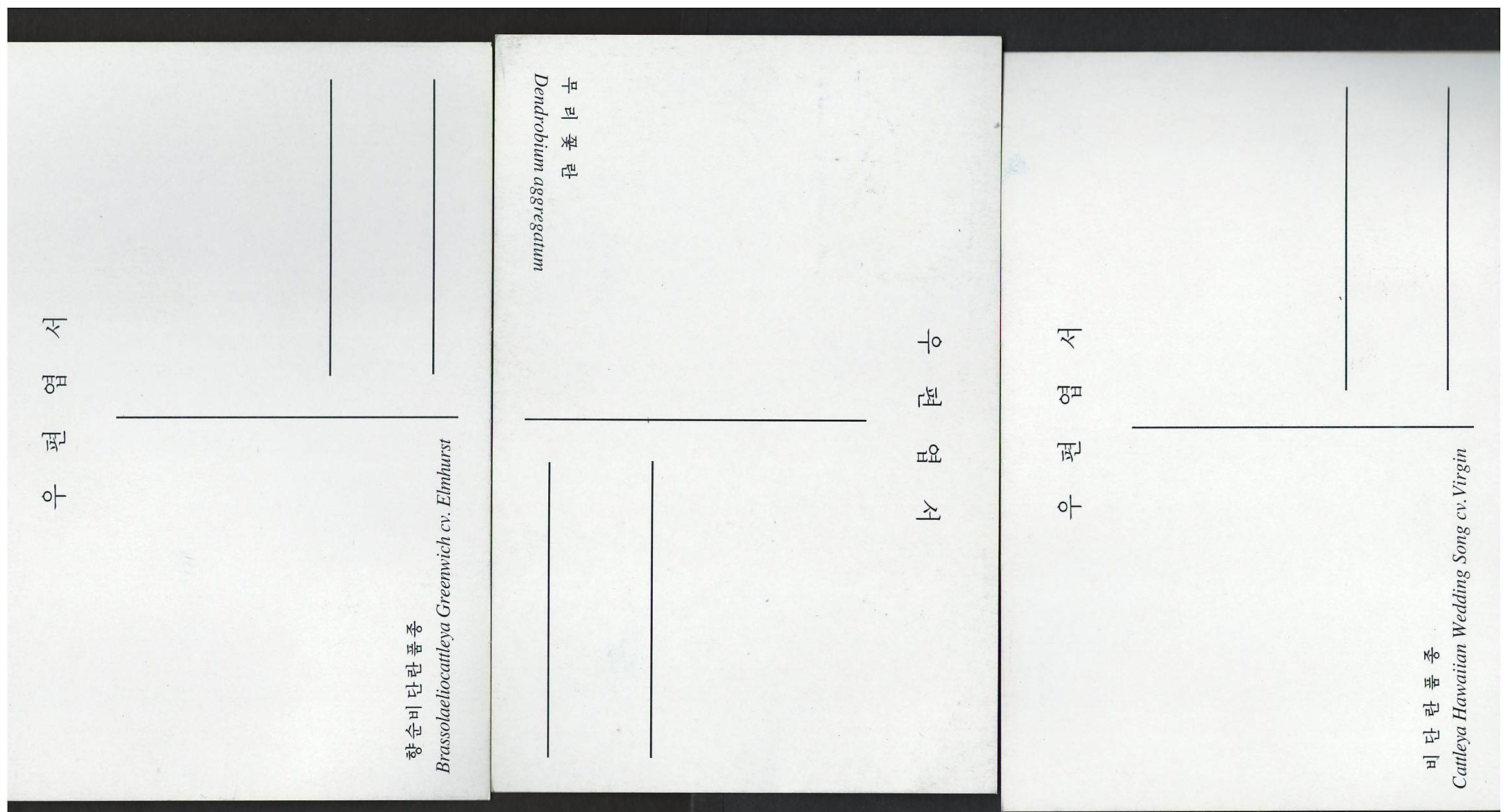 RARE Set of 9 X POSTCARDS, MC Maxi Cards From K 1984-2000, Flowers ...