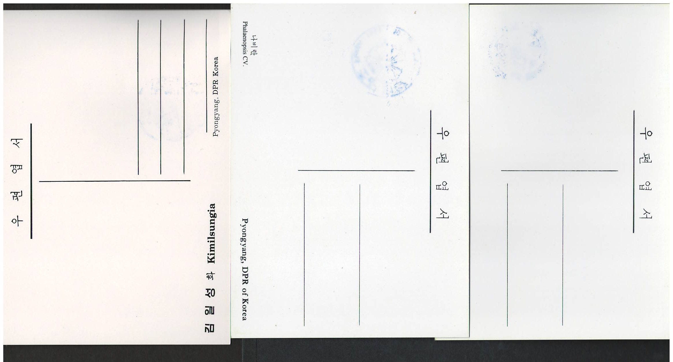 RARE Set of 9 X POSTCARDS, MC Maxi Cards From K 1984-2000, Flowers ...