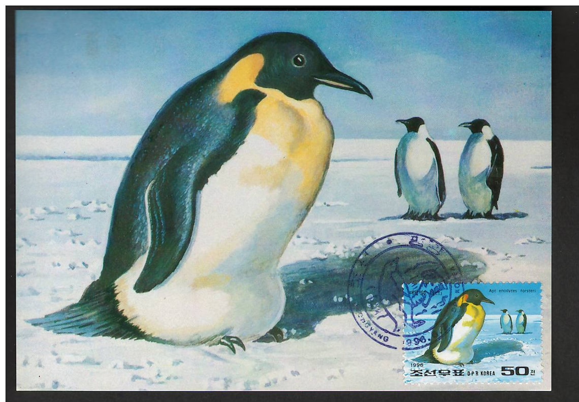 POSTCARD - K - 1996, MC, Maxi Card, Post Card, Penguins, Arctic ...