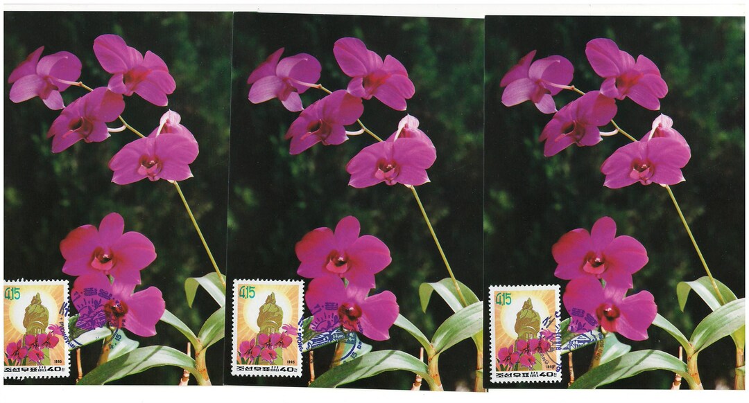 3 X POSTCARDS - From K - 1995, MC - Maxi Cards, (3 Identical) Post ...