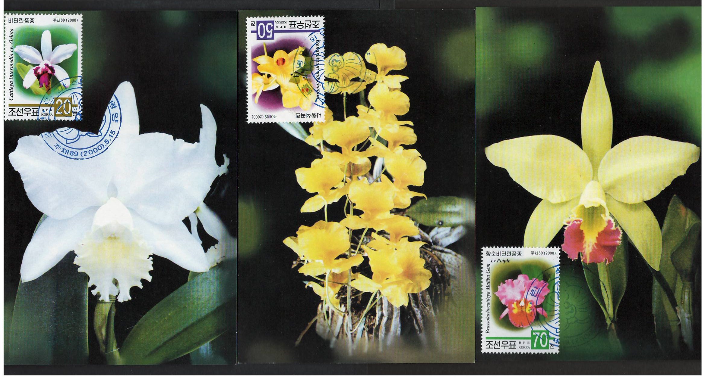 RARE Set of 9 X POSTCARDS, MC Maxi Cards From K 1984-2000, Flowers ...