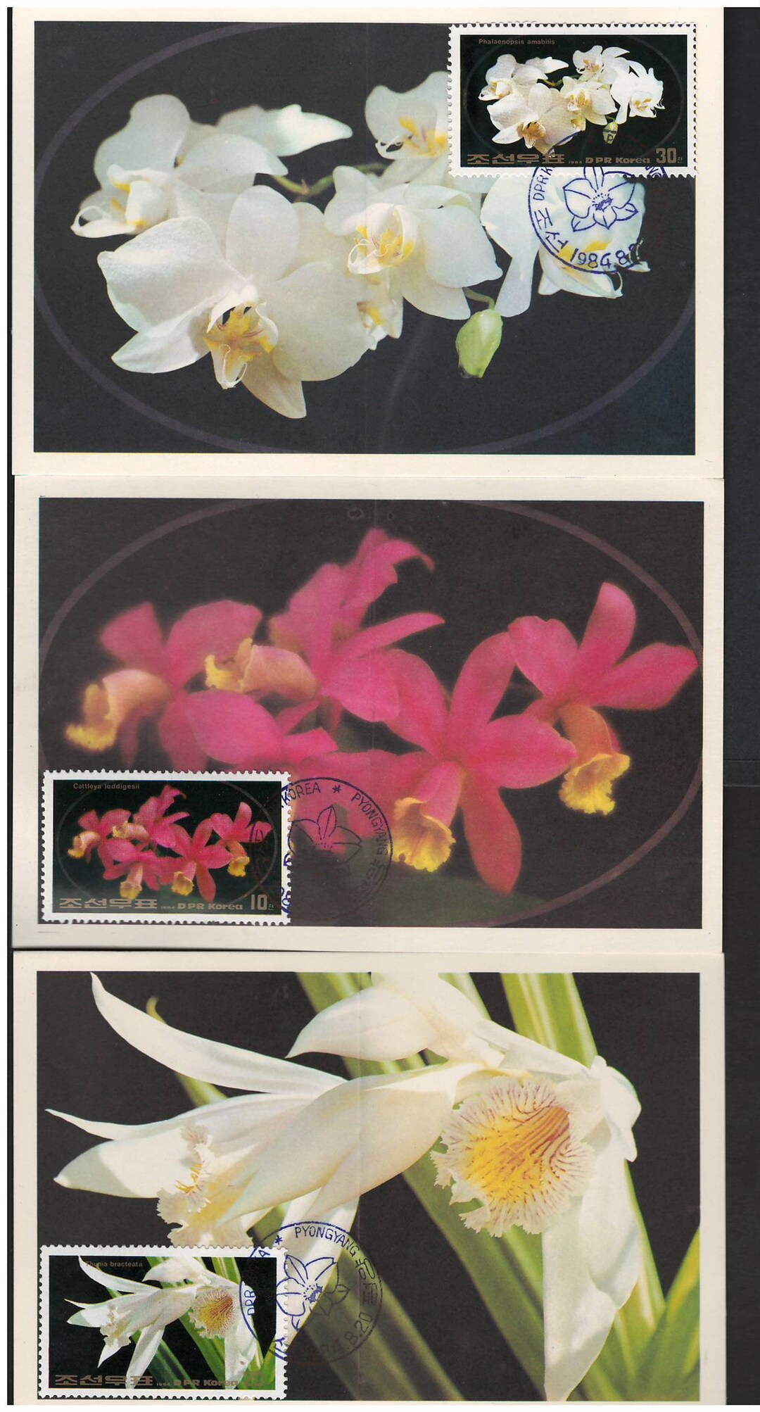 Set of 3 X POSTCARDS, MC - Maxi Cards From K - 1984, Flowers, Orchids ...