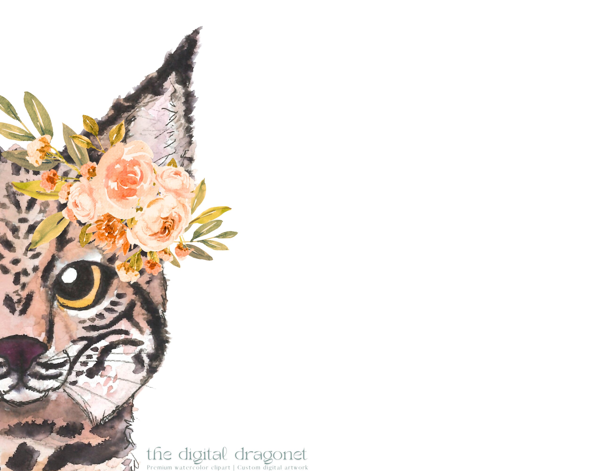 Watercolor Wild Cat Clipart PNG Cat Printable Watercolor Lynx - Etsy
