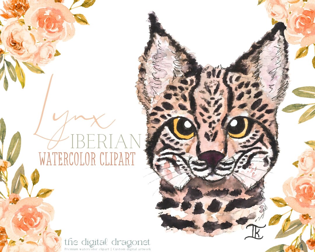 Watercolor Wild Cat Clipart PNG Cat Printable Watercolor Lynx - Etsy
