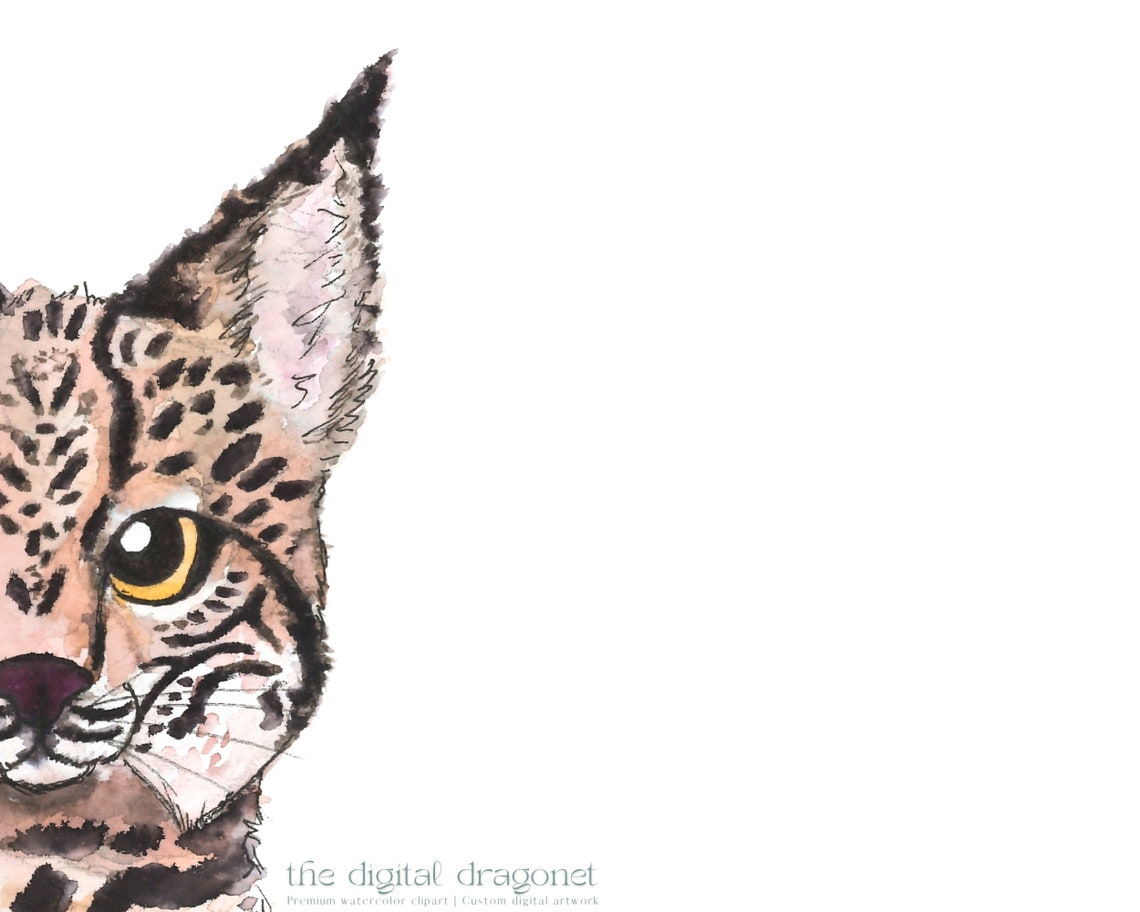 Watercolor Wild Cat Clipart PNG Cat Printable Watercolor Lynx - Etsy