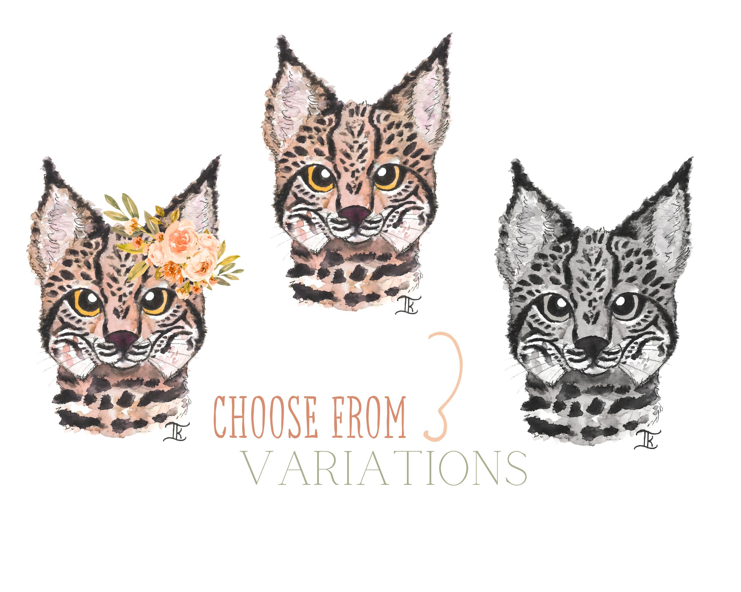 Watercolor Wild Cat Clipart PNG Cat Printable Watercolor Lynx - Etsy