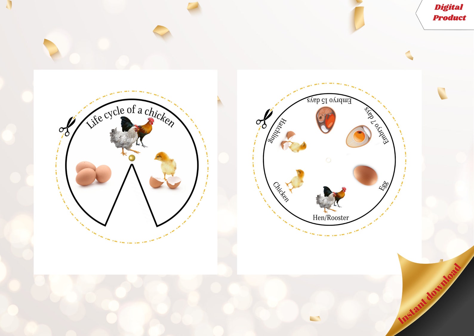 LIFE CYCLE of a CHICKEN Wheel - Busy Book Activity Montessori Learning ...