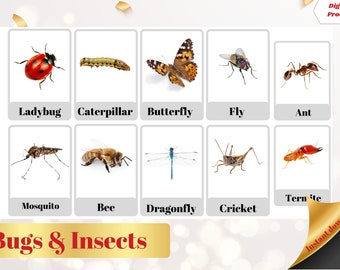 FARM ANIMALS 24 Printable Flashcards Farm Animals Nomenclature ...