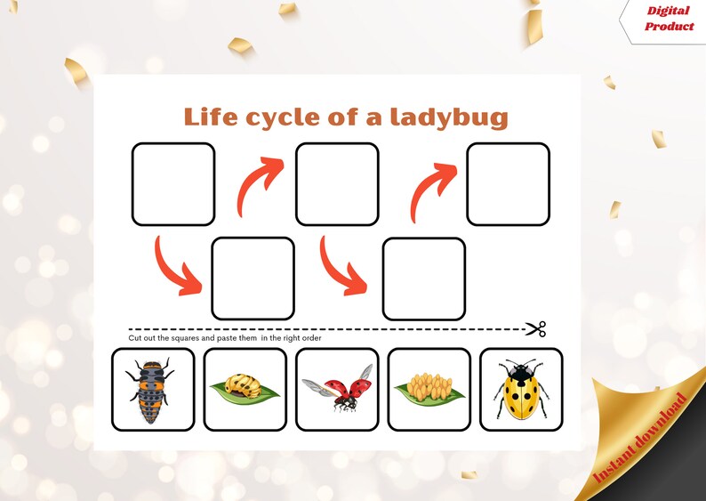 LADYBUG LIFE CYCLE Poster & Activity Game - Busy Book Activity ...