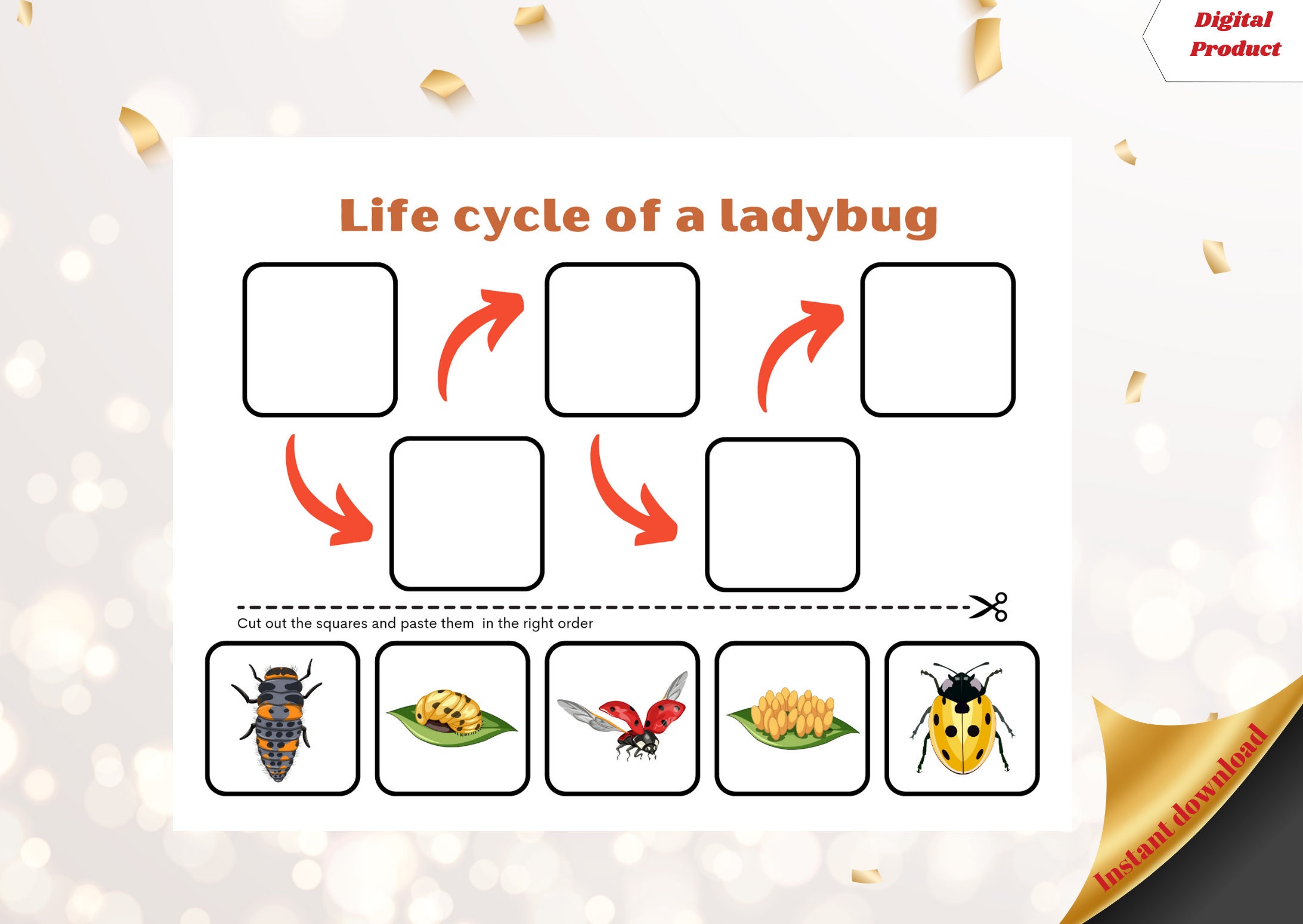 LADYBUG LIFE CYCLE Poster & Activity Game - Busy Book Activity ...