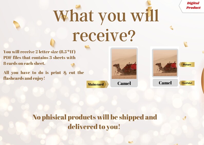 DESERT ANIMALS (real Pictures) - 32 Printable Flashcards - Desert ...