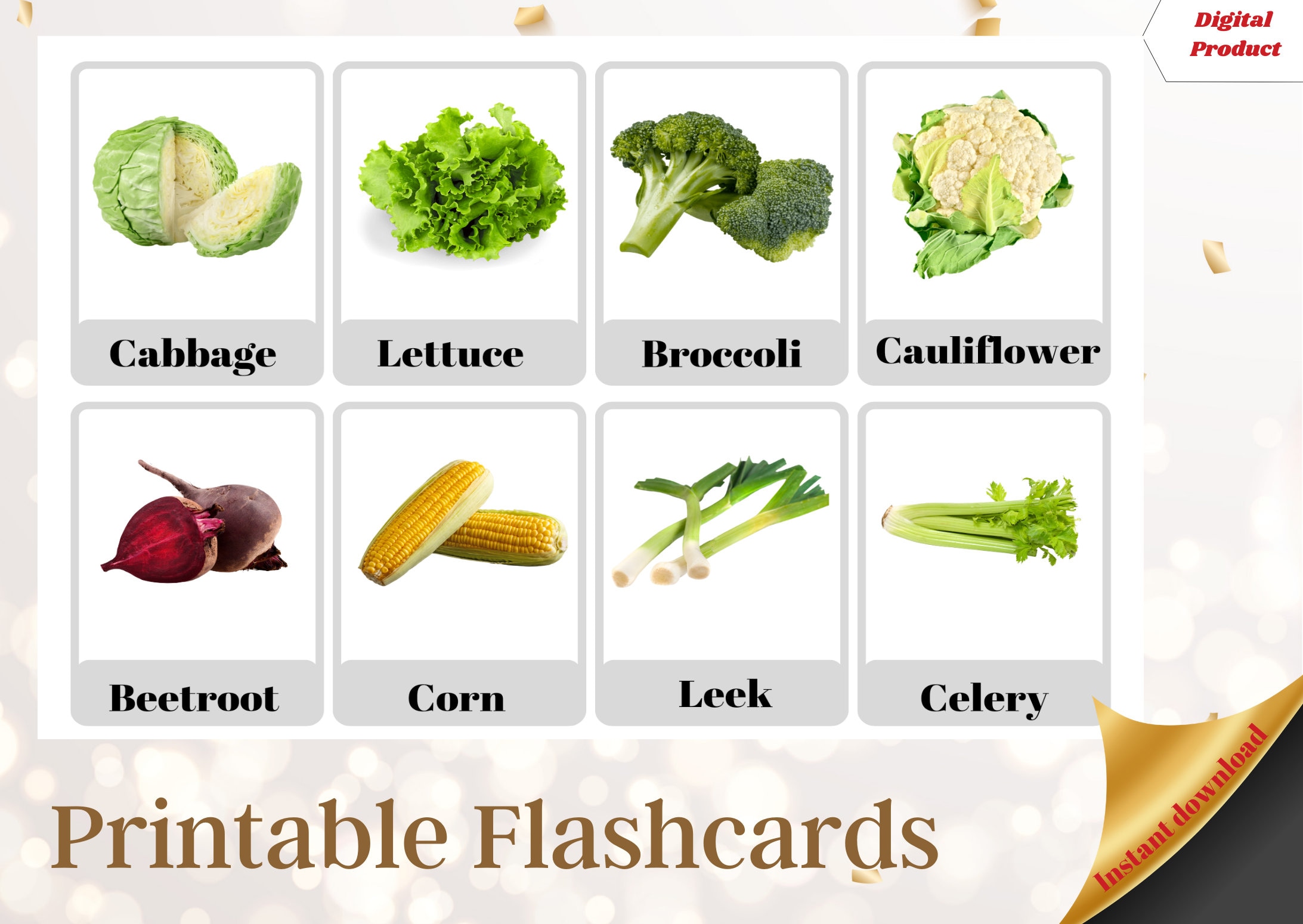 Vegetables - 24 Printable Flashcards - Vegetables Nomenclature ...