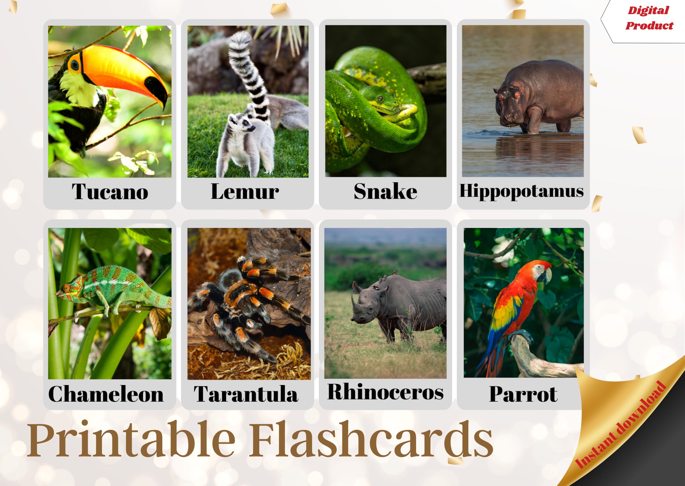 JUNGLE ANIMALS (real Pictures) - 24 Printable Flashcards-jungle ...