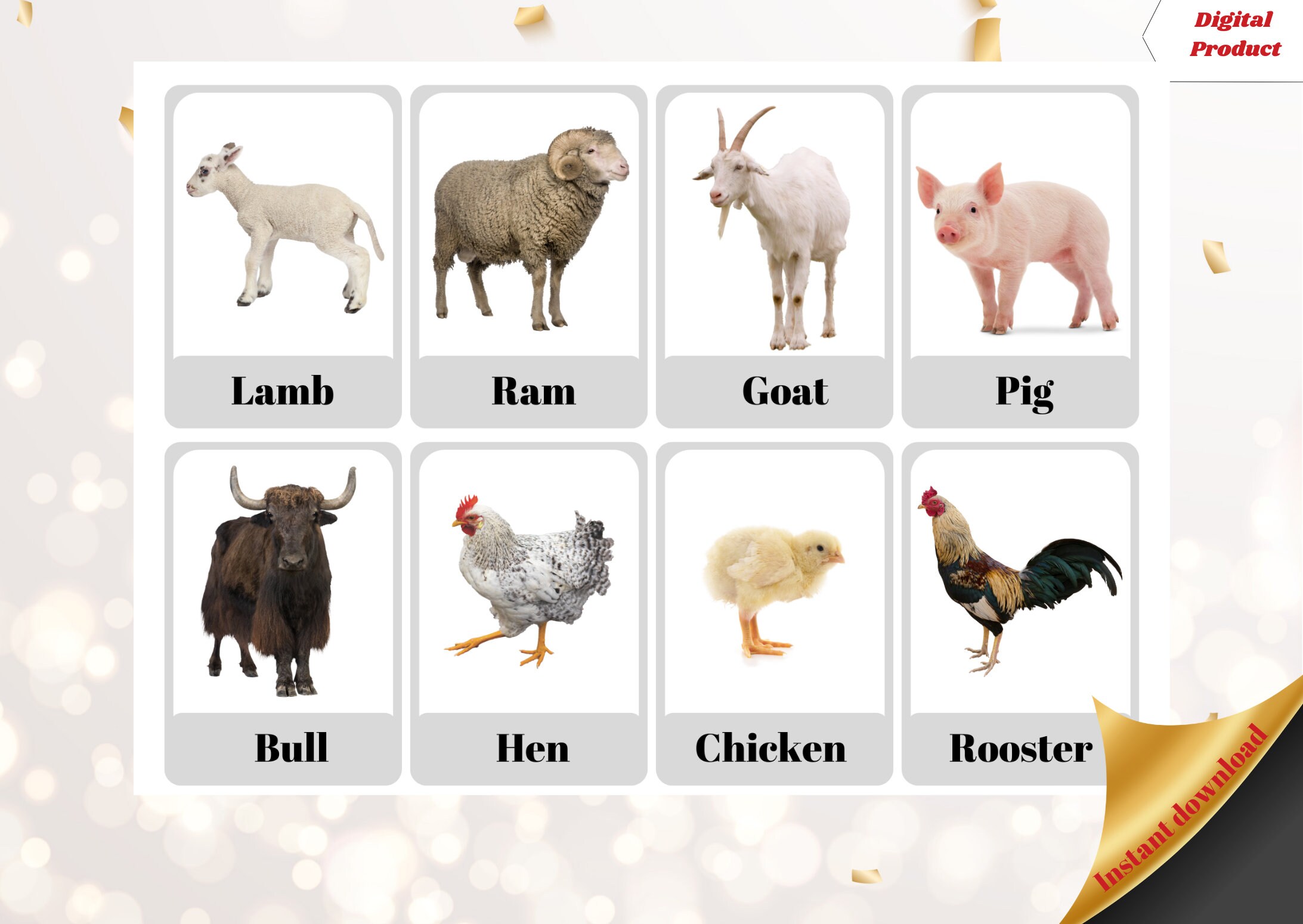 WORLD ANIMALS 64 Printable Flashcards Animals Nomenclature Montessori ...