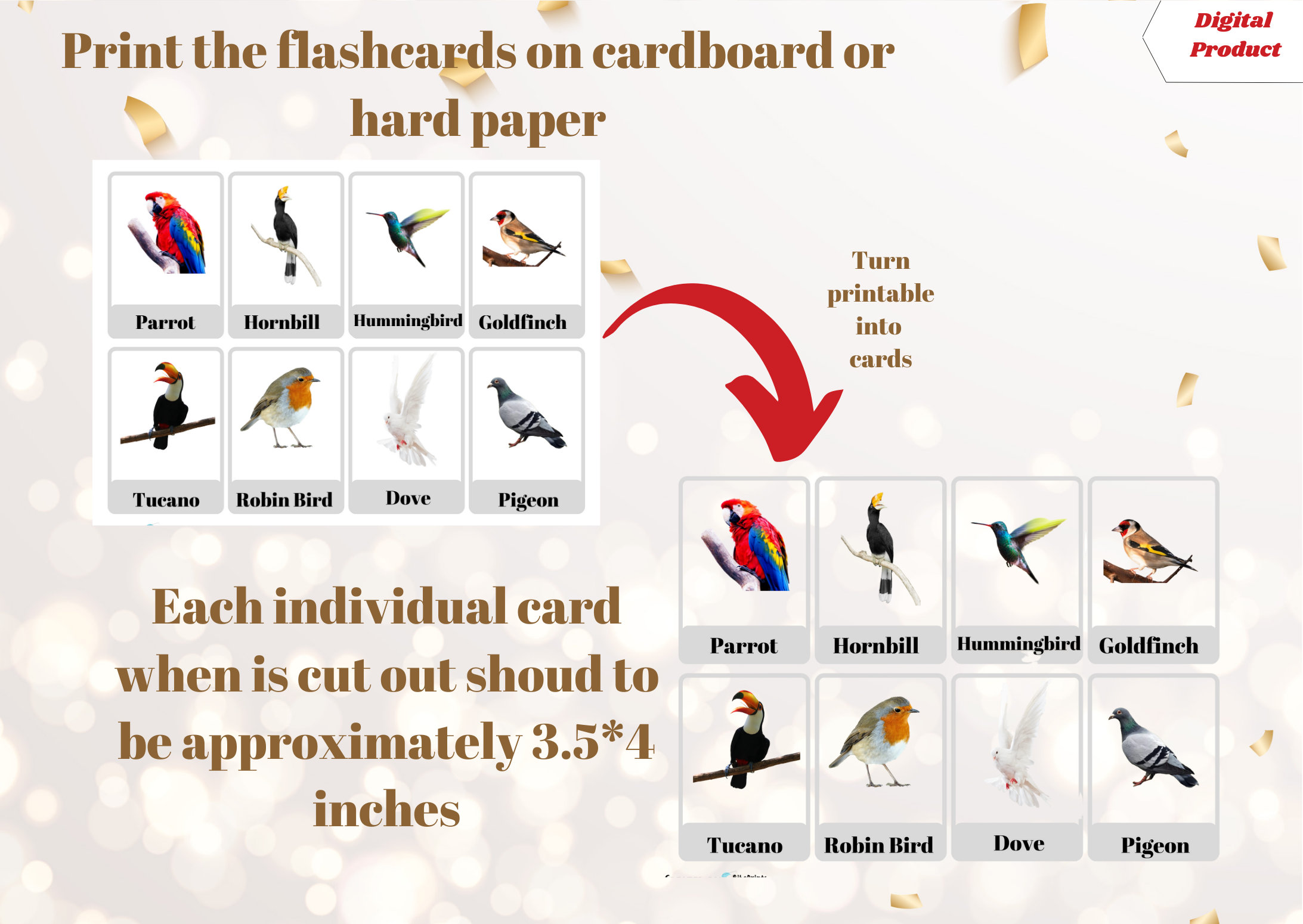 BIRDS - 32 Printable Flashcards - Birds Nomenclature - Montessori ...