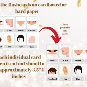 BODY PARTS - 32 Printable Flashcards Body Parts Nomenclature Montessori ...