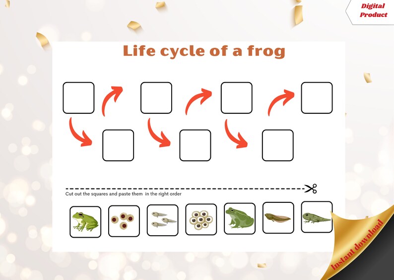 FROG LIFE CYCLE Poster & Activity Game Busy Book Activity Montessori ...