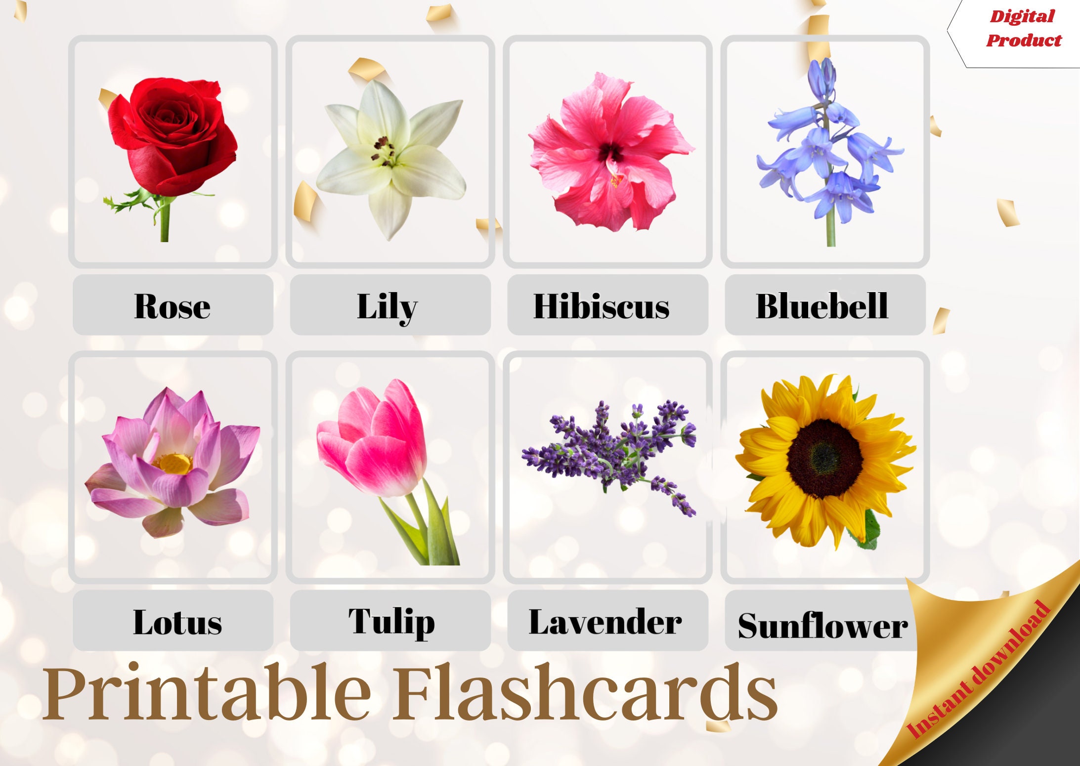 FLOWERS FLASHCARDS - 48 Printable Flashcards Flowers Botany ...