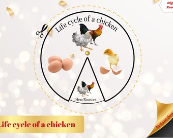 LIFE CYCLE of a LADYBUG Wheel - Busy Book Activity Montessori Learning ...