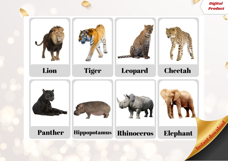 WORLD ANIMALS - 64 Printable Flashcards - Animals Nomenclature ...