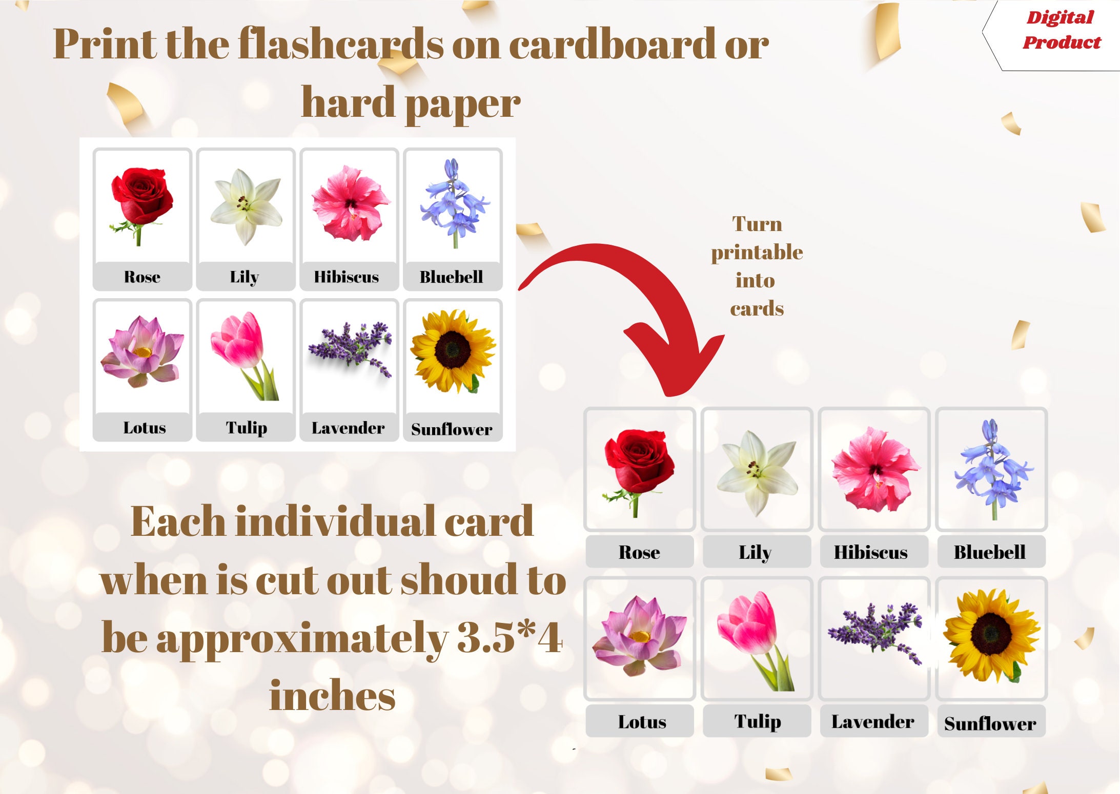 FLOWERS FLASHCARDS - 48 Printable Flashcards Flowers Botany ...