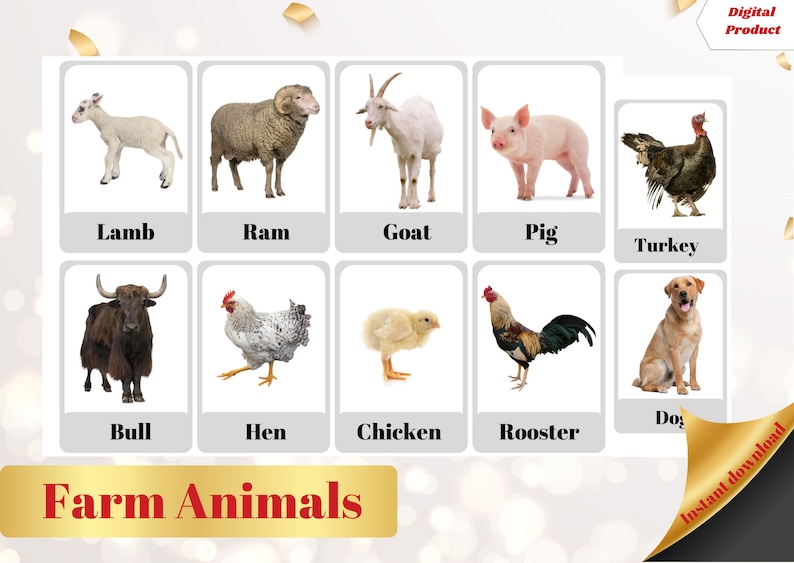 FARM ANIMALS - 24 Printable Flashcards - Farm Animals Nomenclature ...