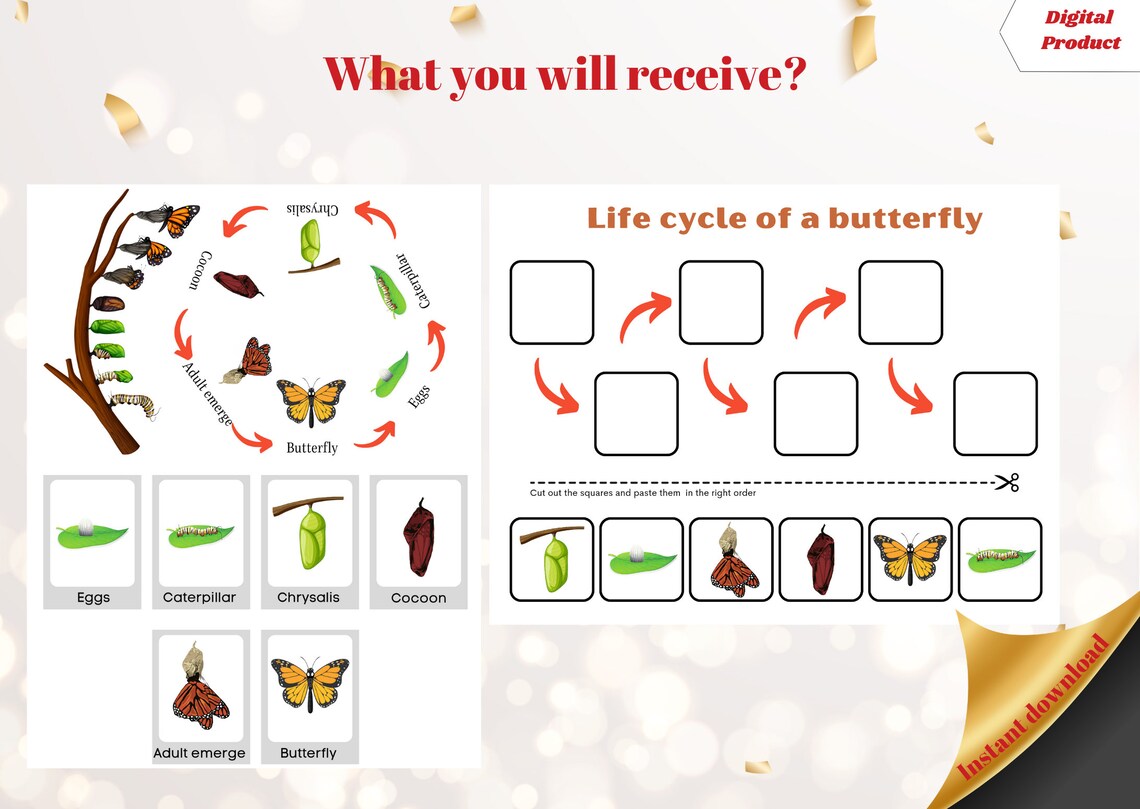 BUTTERFLY LIFE CYCLE Poster & Activity Game Busy Book Activity ...