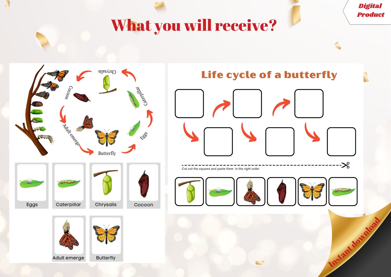 BUTTERFLY LIFE CYCLE Poster & Activity Game - Busy Book Activity ...