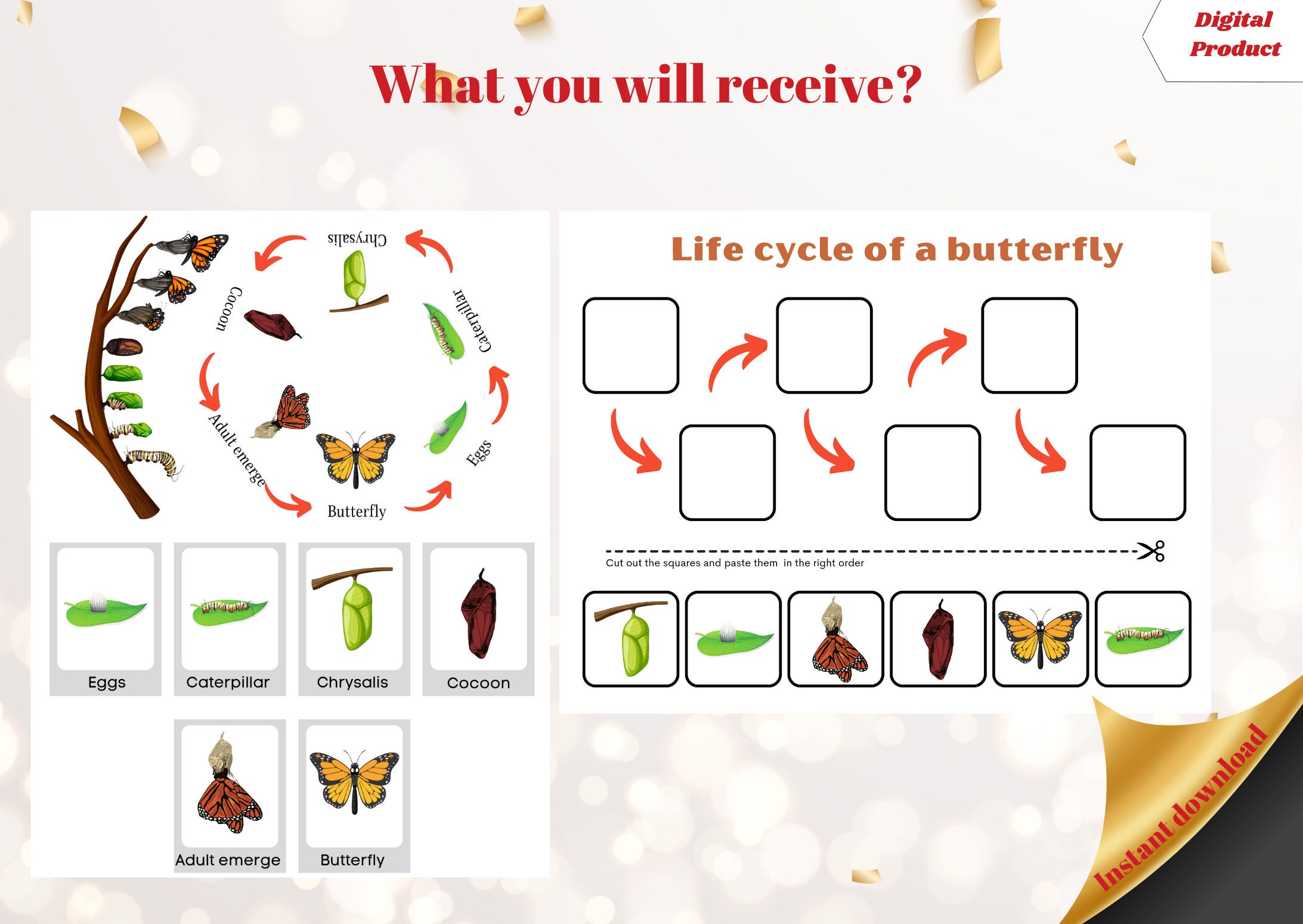 BUTTERFLY LIFE CYCLE Poster & Activity Game Busy Book Activity ...