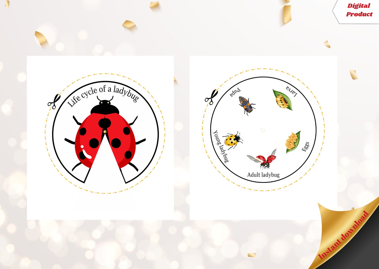 LIFE CYCLE of a LADYBUG Wheel - Busy Book Activity Montessori Learning ...