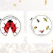 LIFE CYCLE of a LADYBUG Wheel - Busy Book Activity Montessori Learning ...