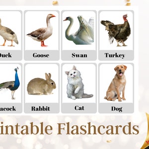 FARM ANIMALS - 24 Printable Flashcards - Farm Animals Nomenclature ...