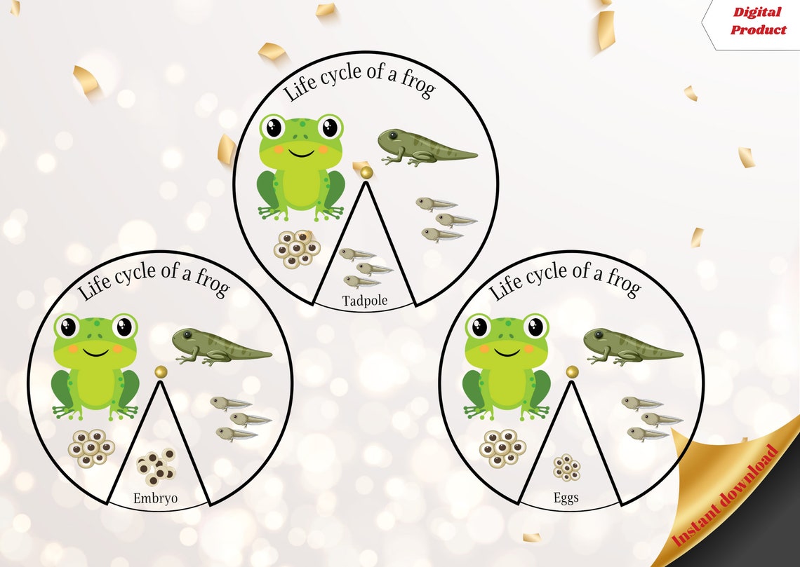 LIFE CYCLE of a FROG Wheel - Busy Book Activity Montessori Learning ...