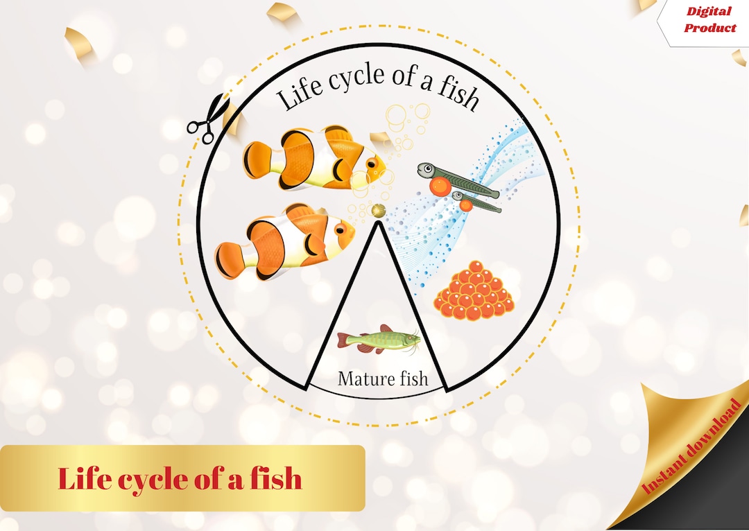 LIFE CYCLE of a FISH Wheel - Busy Book Activity Montessori Learning ...