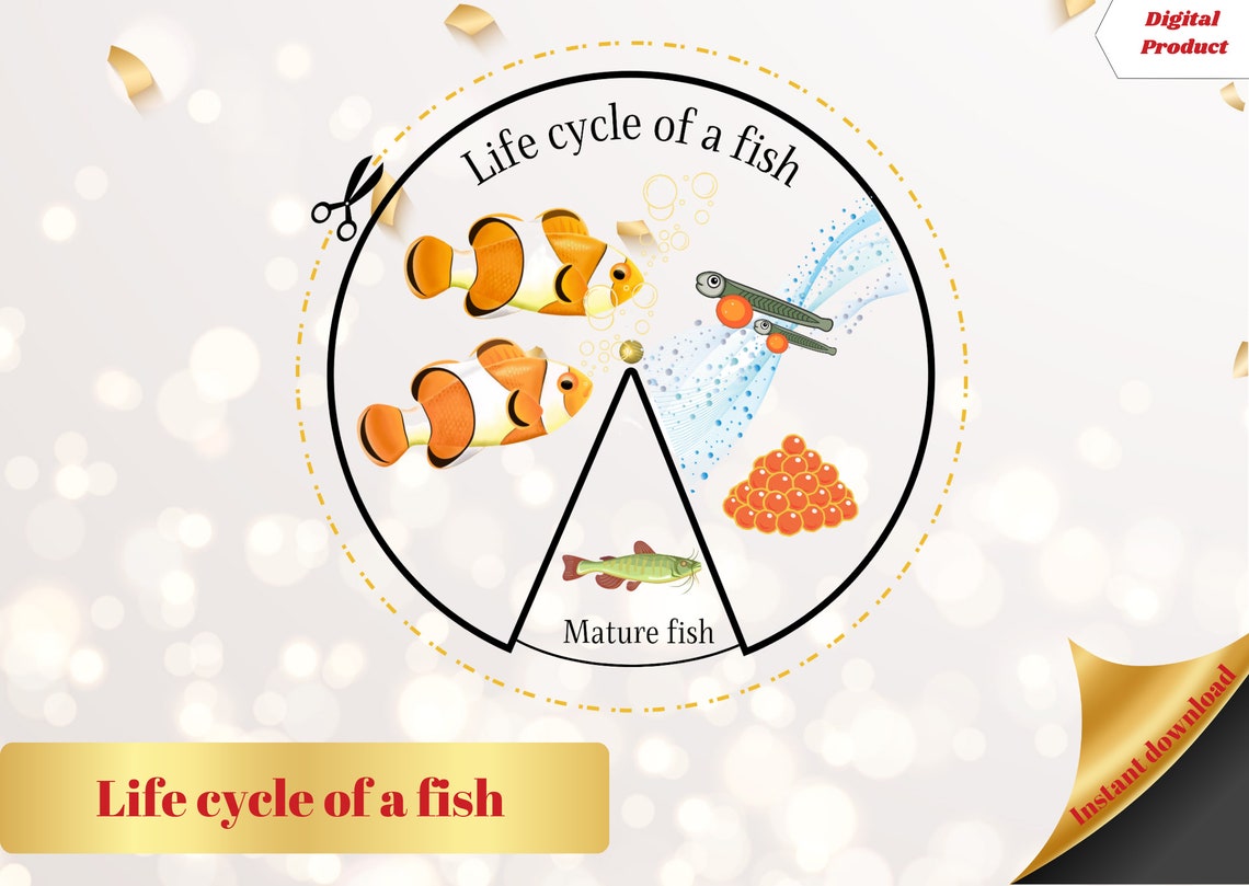 LIFE CYCLE of a FISH Wheel - Busy Book Activity Montessori Learning ...