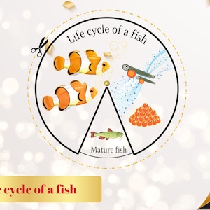 LIFE CYCLE of a FISH Wheel - Busy Book Activity Montessori Learning ...