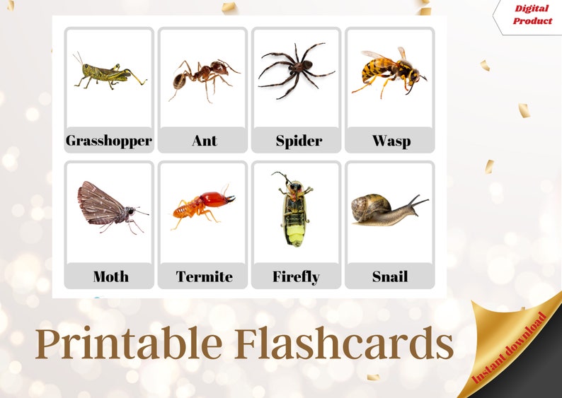 BUGS & INSECTS - 24 Printable Flashcards - Bugs and Insects ...