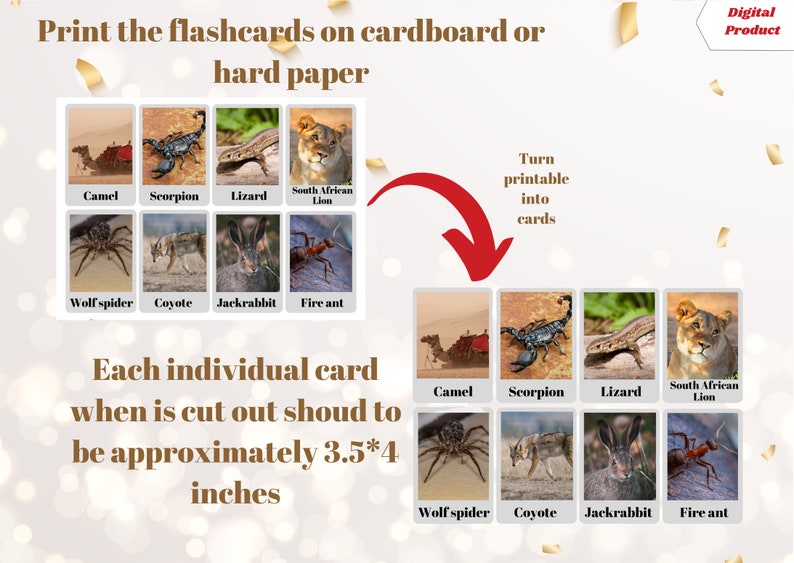 DESERT ANIMALS (real Pictures) - 32 Printable Flashcards - Desert ...
