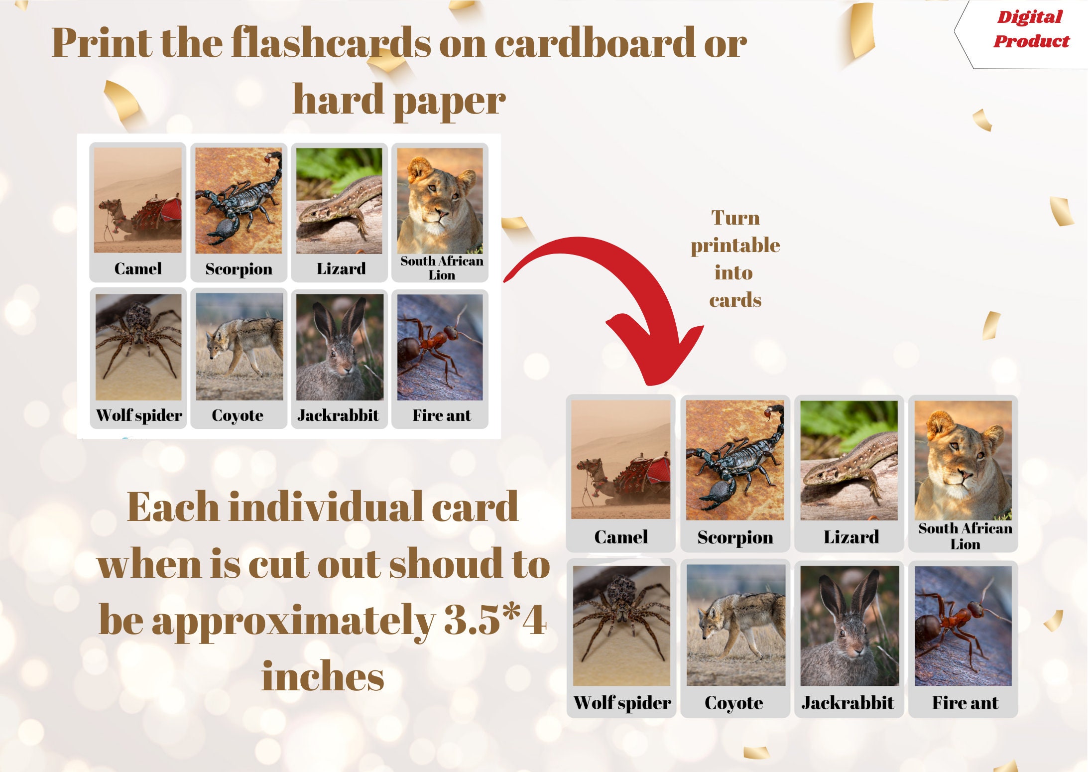 DESERT ANIMALS (real Pictures) - 32 Printable Flashcards - Desert ...