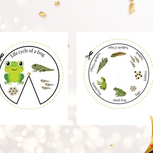 LIFE CYCLE of a FROG Wheel - Busy Book Activity Montessori Learning ...
