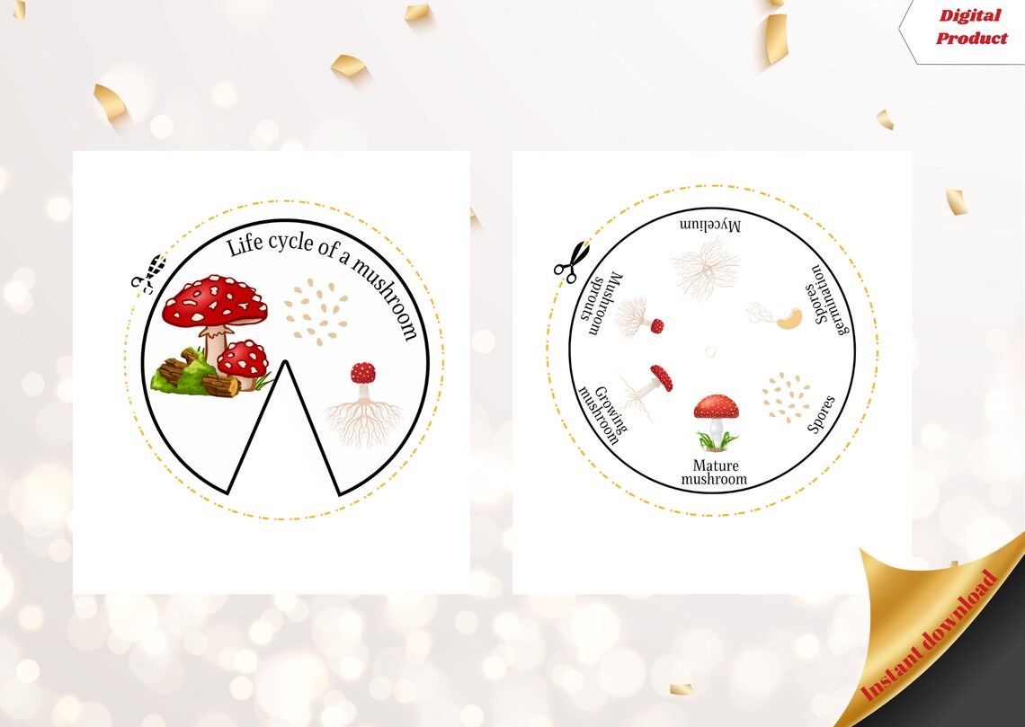 LIFE CYCLE of a MUSHROOM Wheel Busy Book Activity Montessori Learning ...