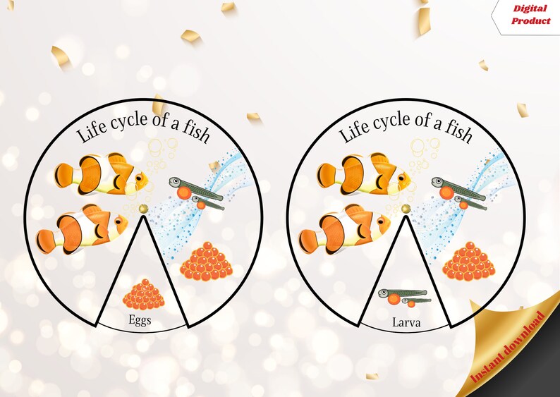 LIFE CYCLE of a FISH Wheel - Busy Book Activity Montessori Learning ...