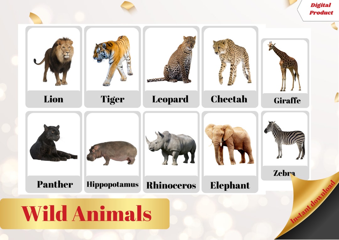 WILD ANIMALS - 40 Printable Flashcards -wild Animals Nomenclature ...