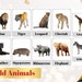 WILD ANIMALS - 40 Printable Flashcards -wild Animals Nomenclature ...