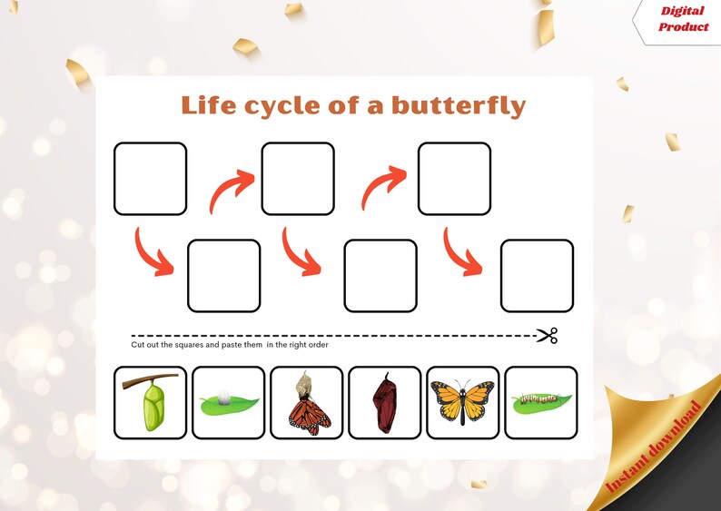 BUTTERFLY LIFE CYCLE Poster & Activity Game Busy Book Activity ...