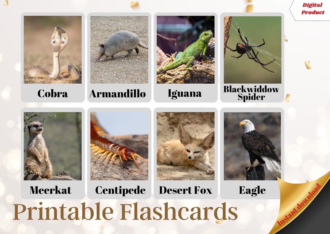 DESERT ANIMALS (real Pictures) - 32 Printable Flashcards - Desert ...