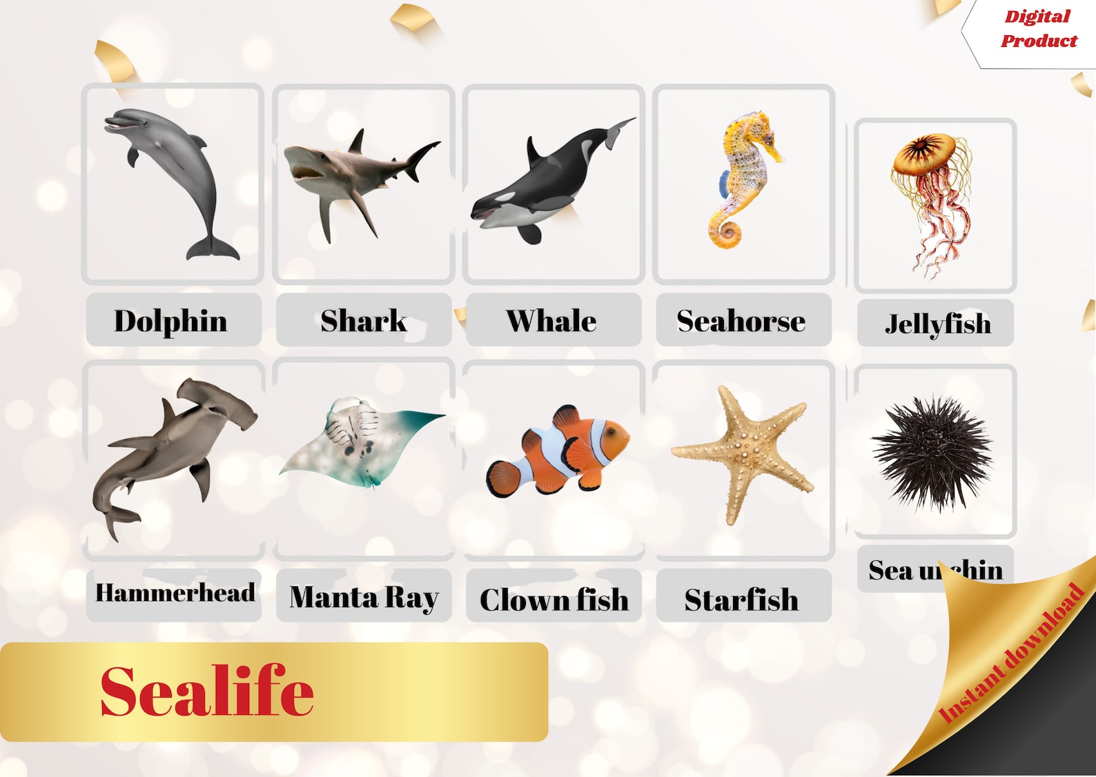 SEALIFE - 32 Printable Flashcards - Ocean Animals Nomenclature ...