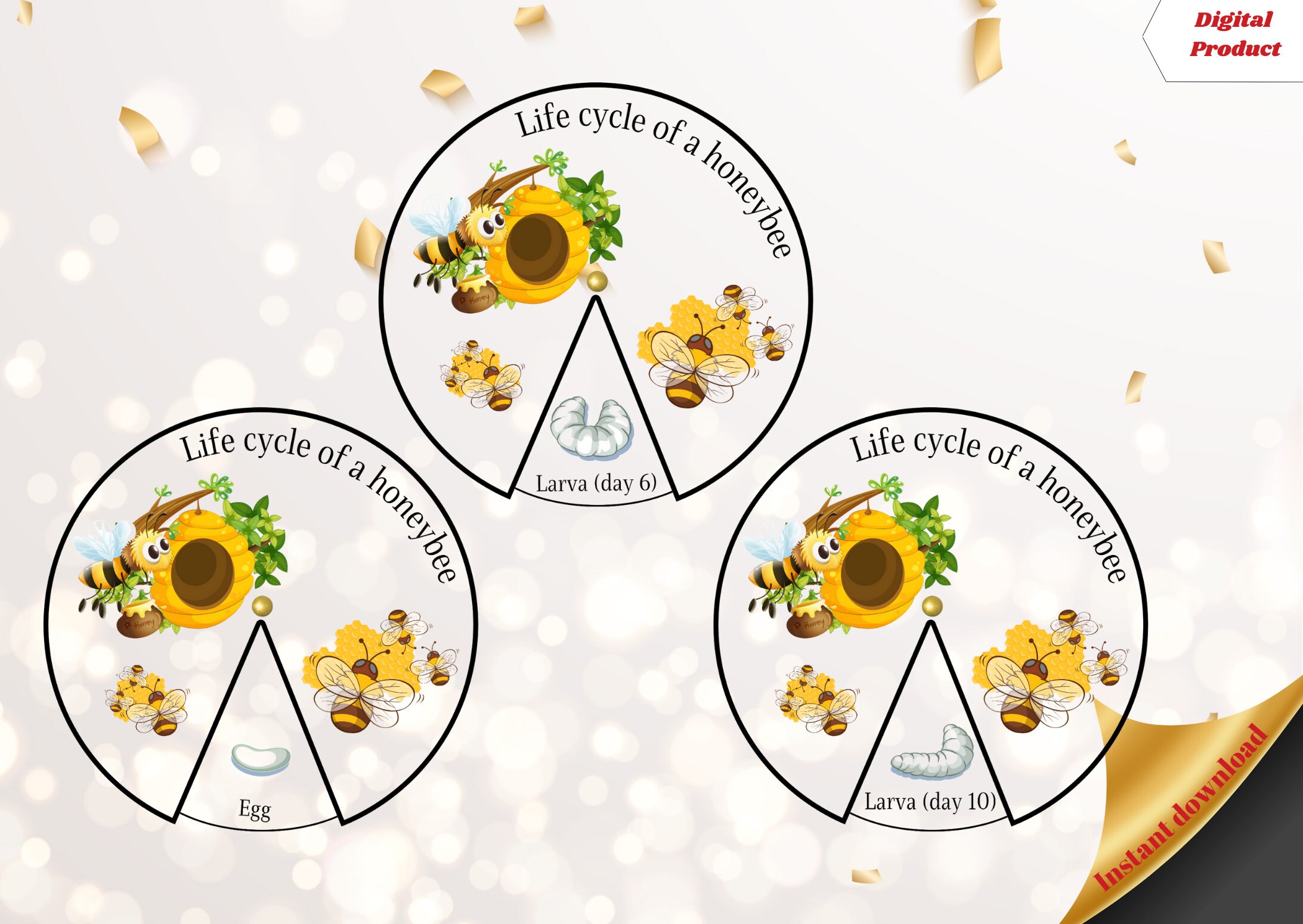 LIFE CYCLE of a HONEYBEE Wheel - Busy Book Activity Montessori Learning ...