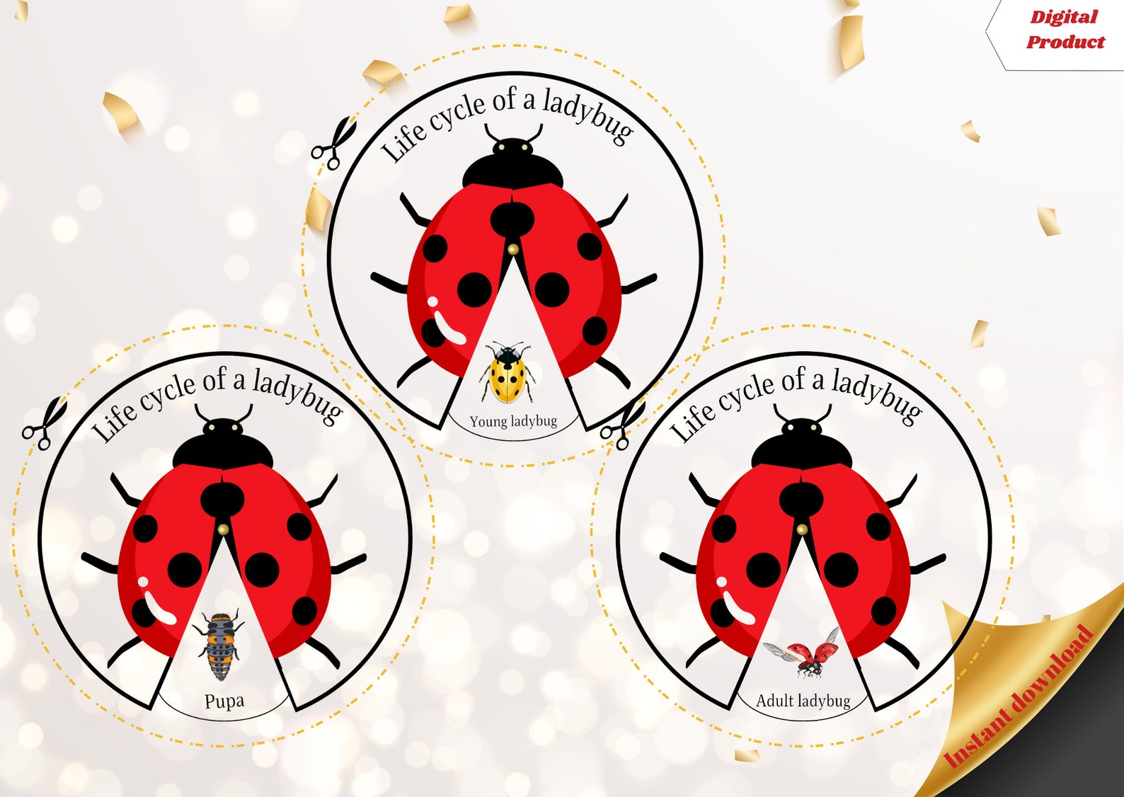 LIFE CYCLE of a LADYBUG Wheel - Busy Book Activity Montessori Learning ...